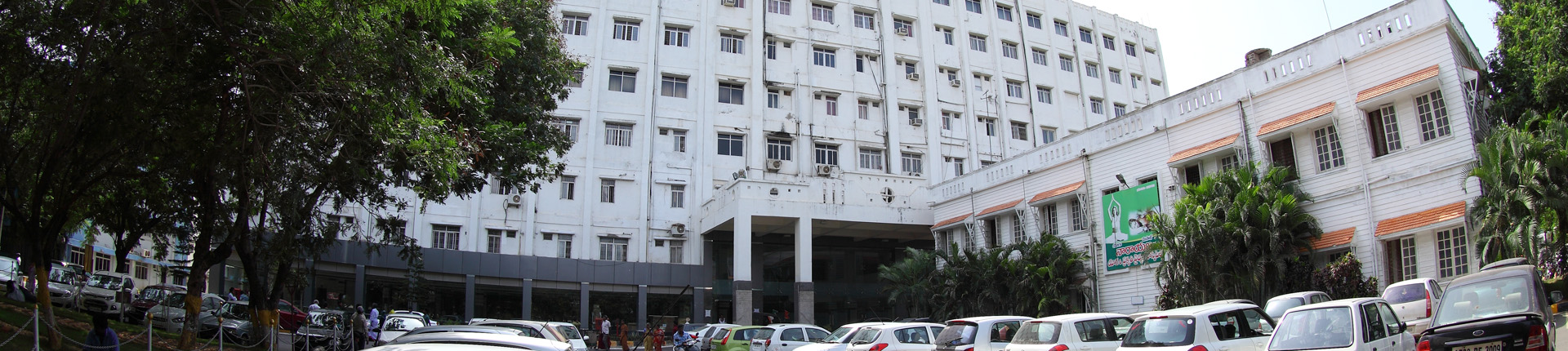 Narayana College Of Physiotherapy - Nellore